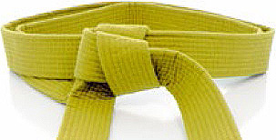 Project Management-Yellow Belt® | RQ Projects®